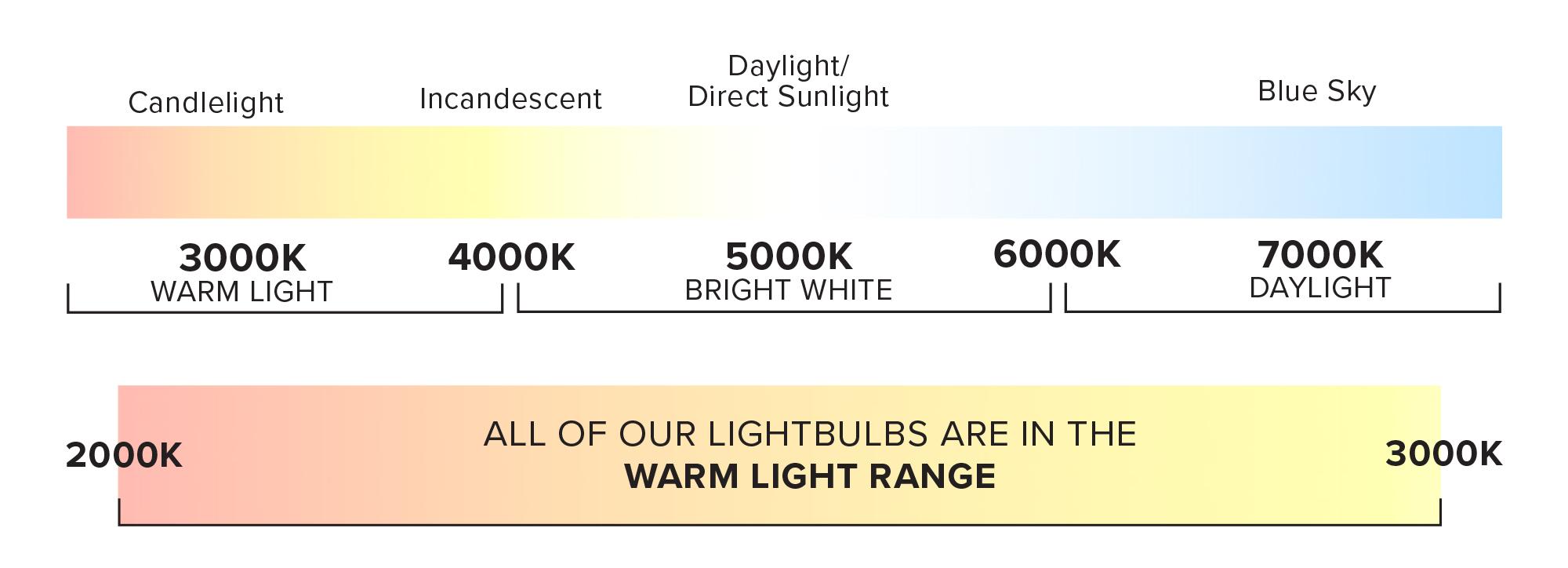 A Perfect Pairing | Regina Andrew Detroit