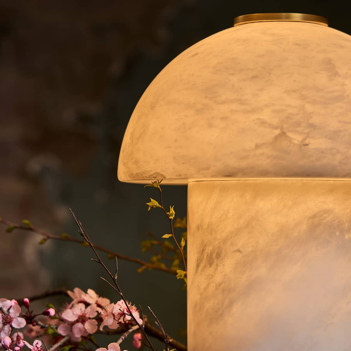 Regina Andrew Detroit