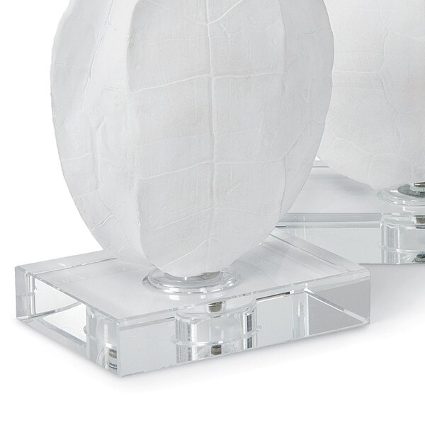 how to display a turtle shell