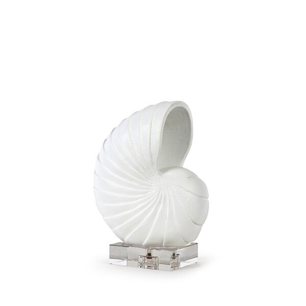 Nautilus Shell Small | Regina Andrew Detroit