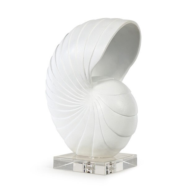 Nautilus Shell Large | Regina Andrew Detroit