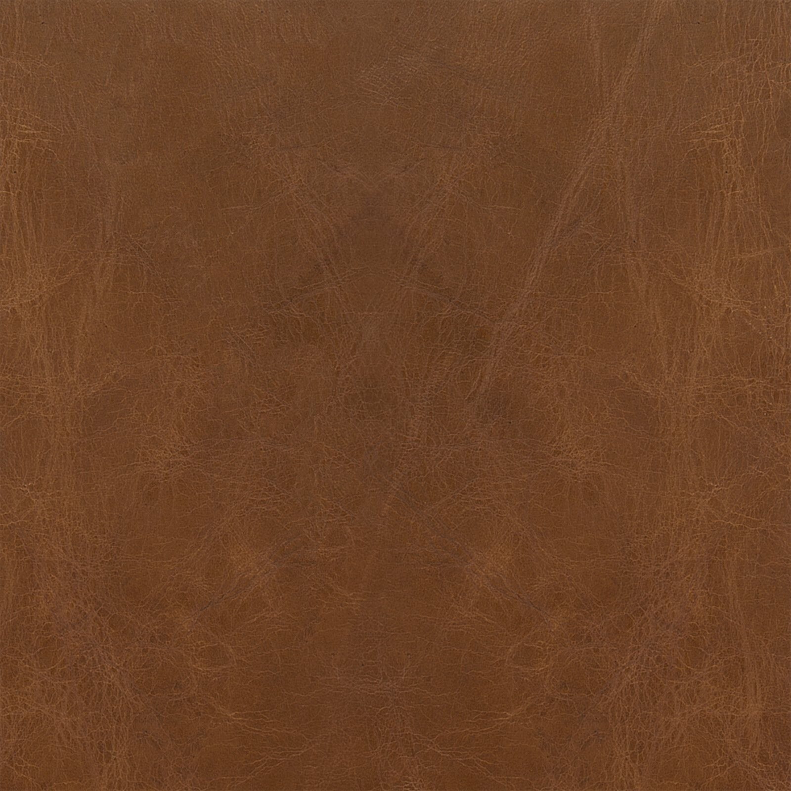 Leather Swatch (Aspen Leather) | Regina Andrew Detroit